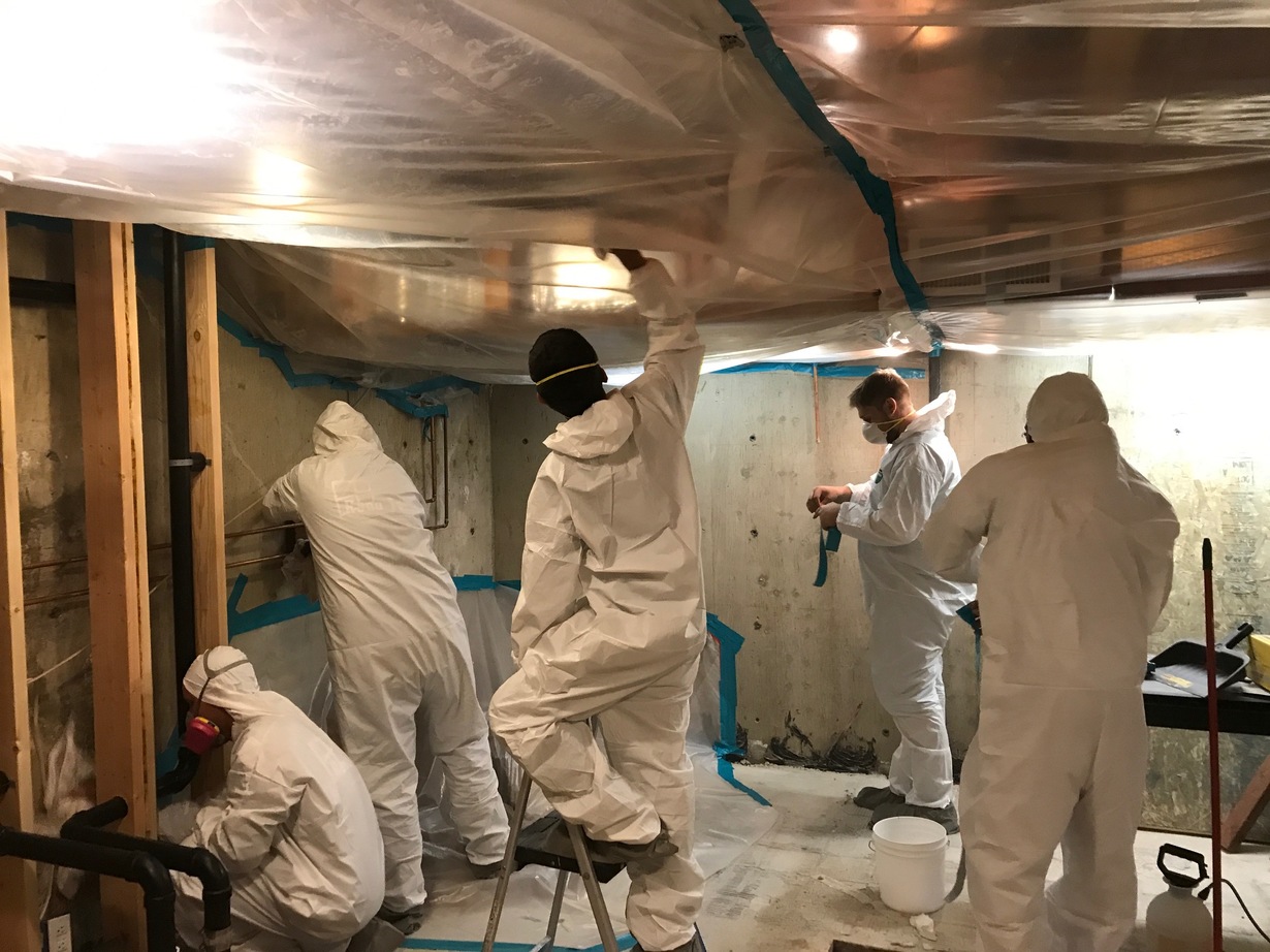 Mold Removal Remediation and Decontamination in Schaumburg
